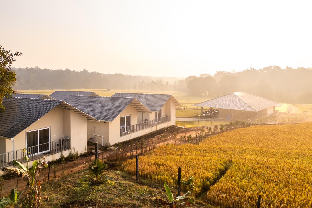 Mantraa Jungle Resort | Eco-Luxury Sanctuary in Dandeli, Karnataka